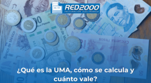 ¿Qué es la UMA, cómo se calcula y cuánto vale?